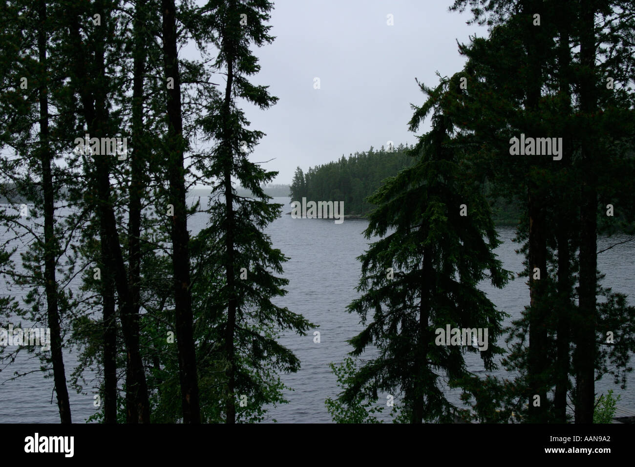 Lake Through Trees Stock Photo - Alamy