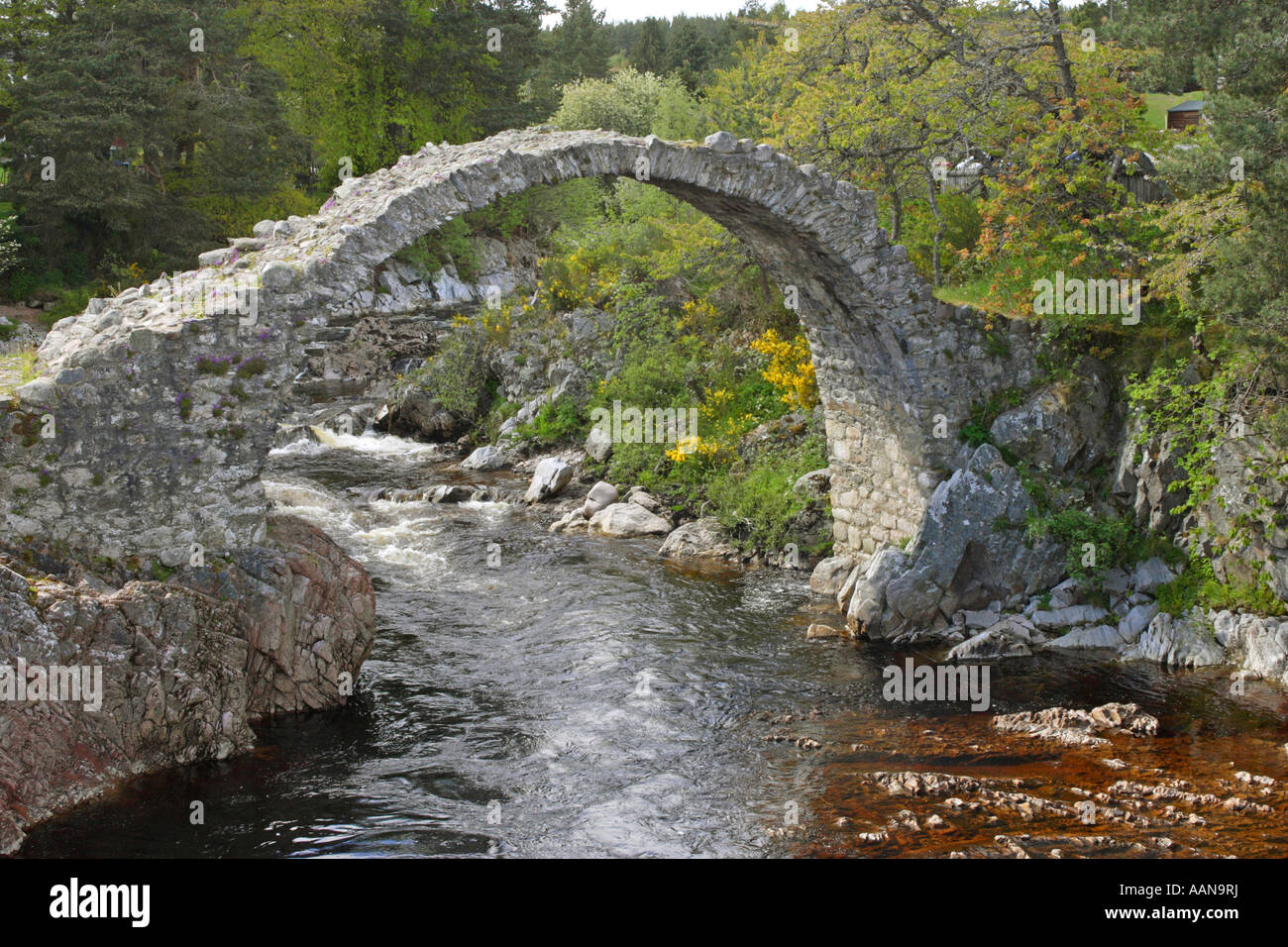 Original old bridge at Carrbridge built across the river Dulnain ...