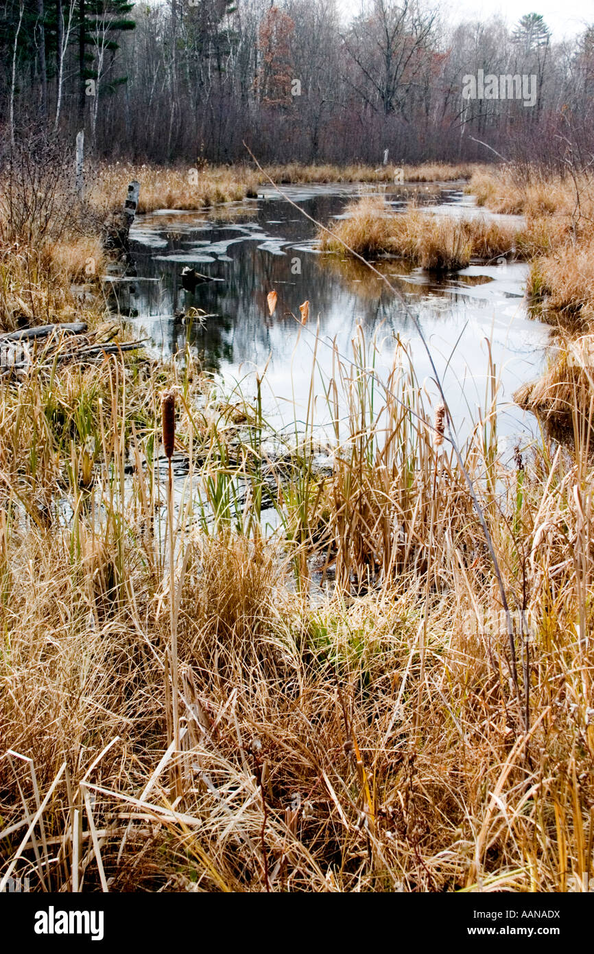 Slew hi-res stock photography and images - Alamy