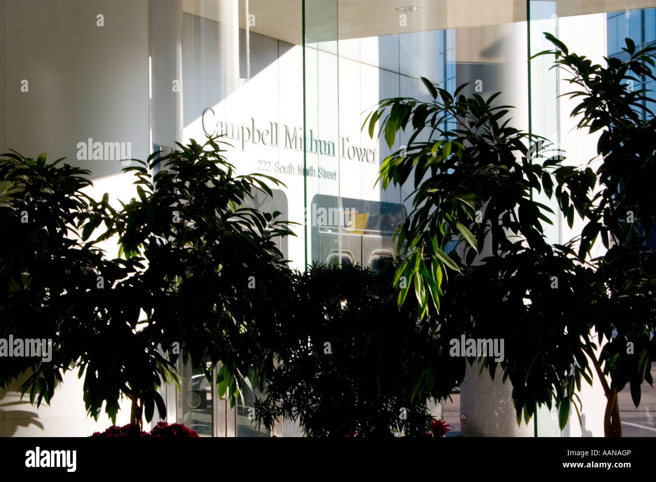 Plants inside the downtown Campbell Mithun Tower. Minneapolis Minnesota ...