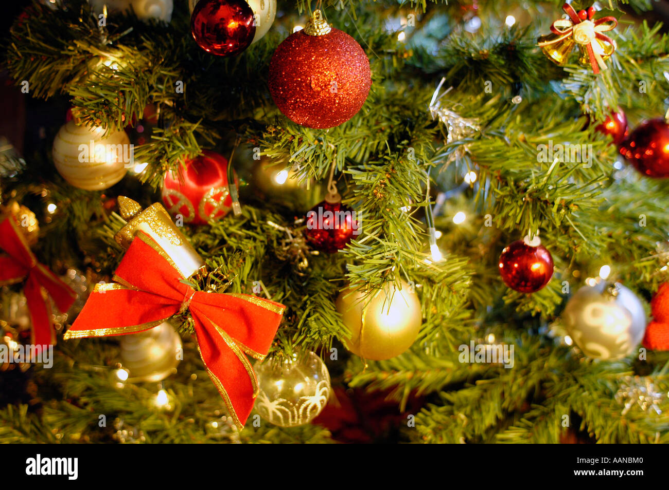 Tree hangings hi-res stock photography and images - Alamy