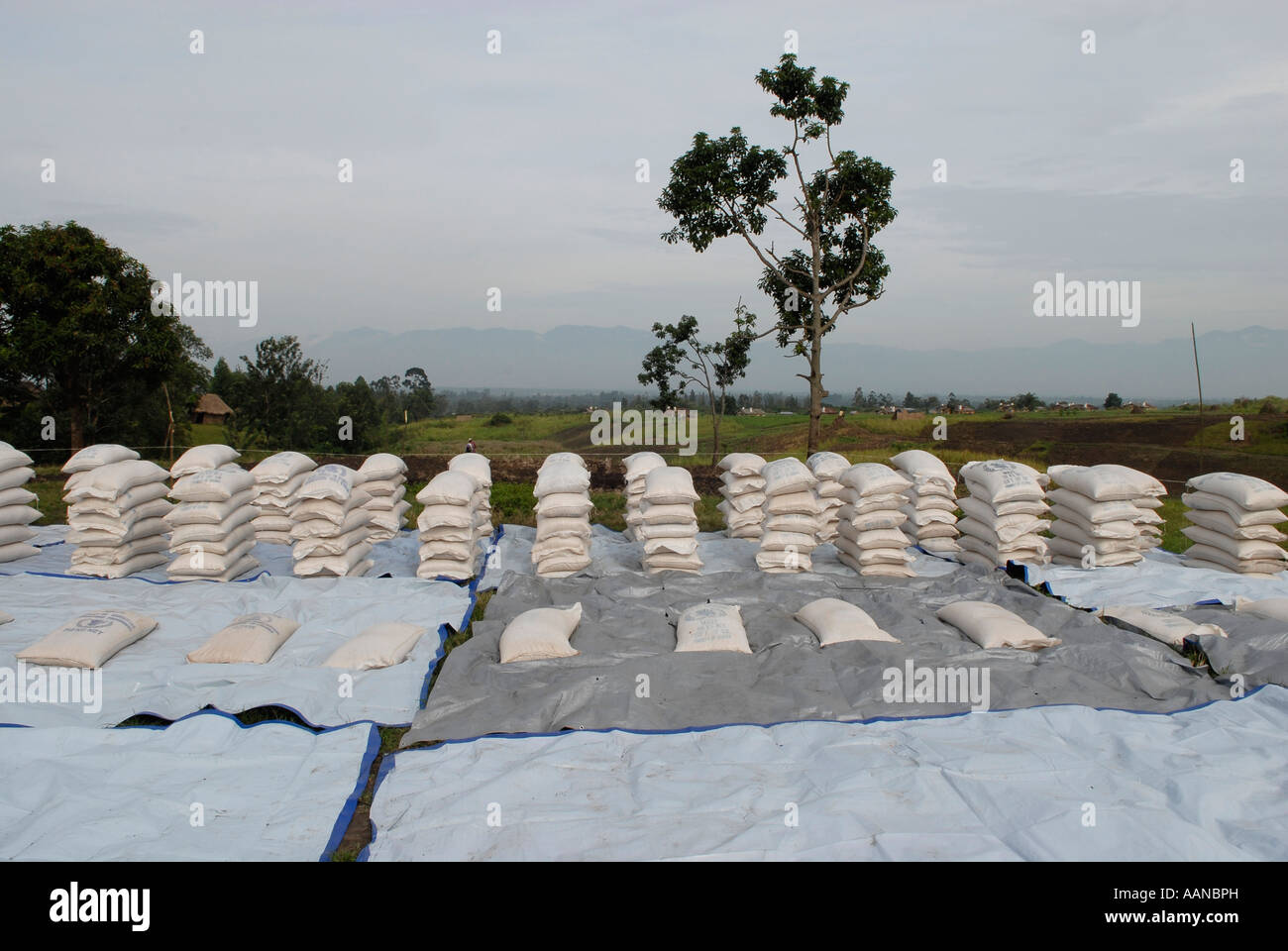 Piles of large sacks containing corn soya blend at World Food Programme ...