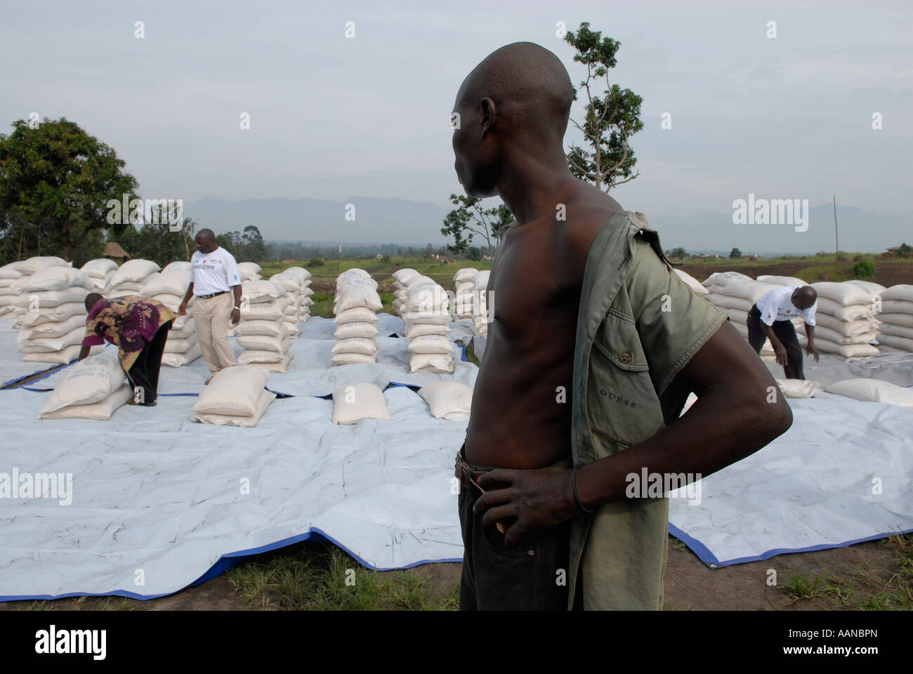 People pile up sacks of basic foodstuff at World Food Programme WFP ...