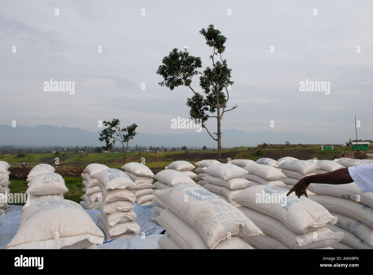 Piles of large sacks containing corn soya blend at World Food Programme ...