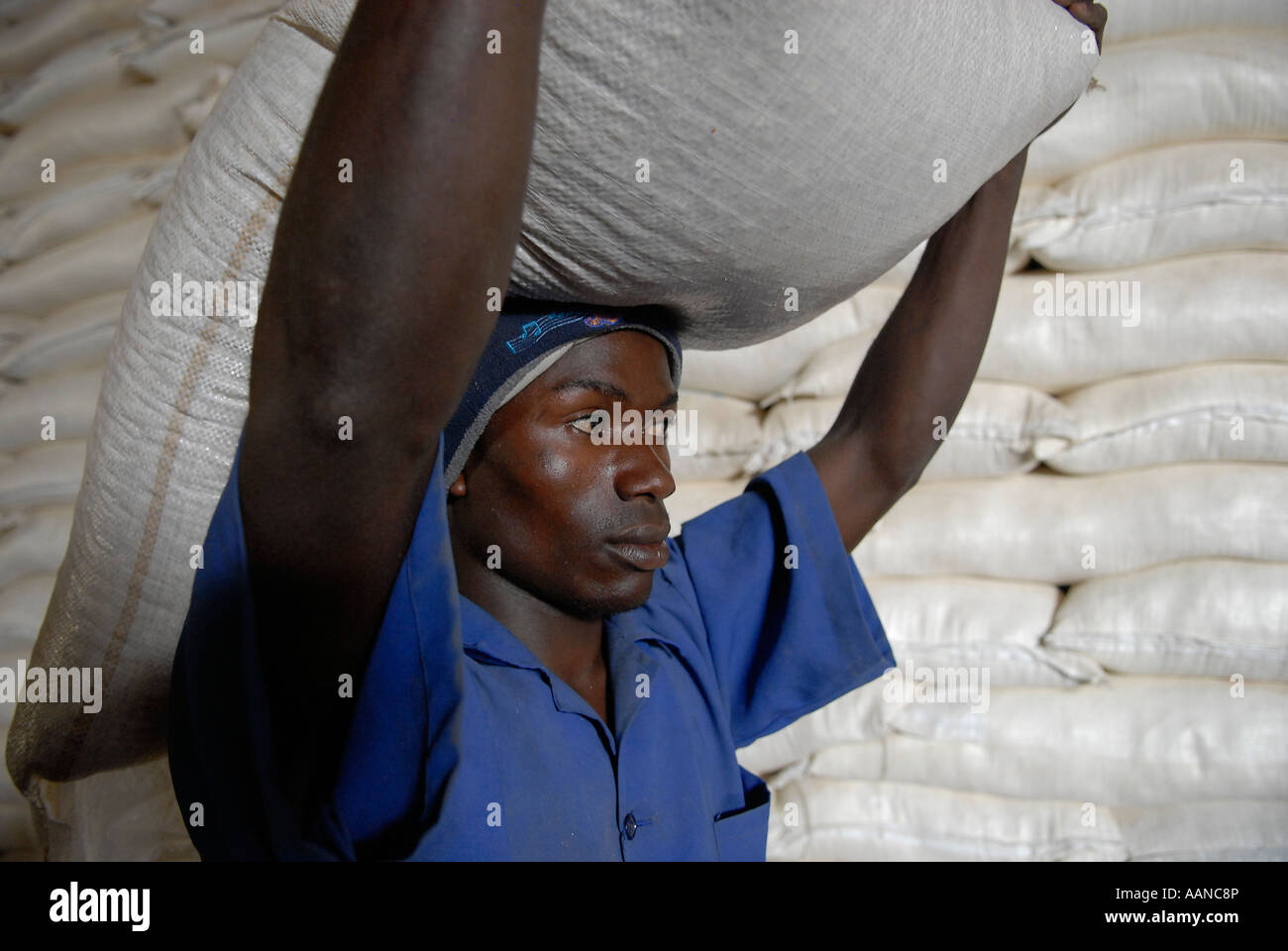 A worker carrying a sack of maize in a storage warehouse of World Food ...