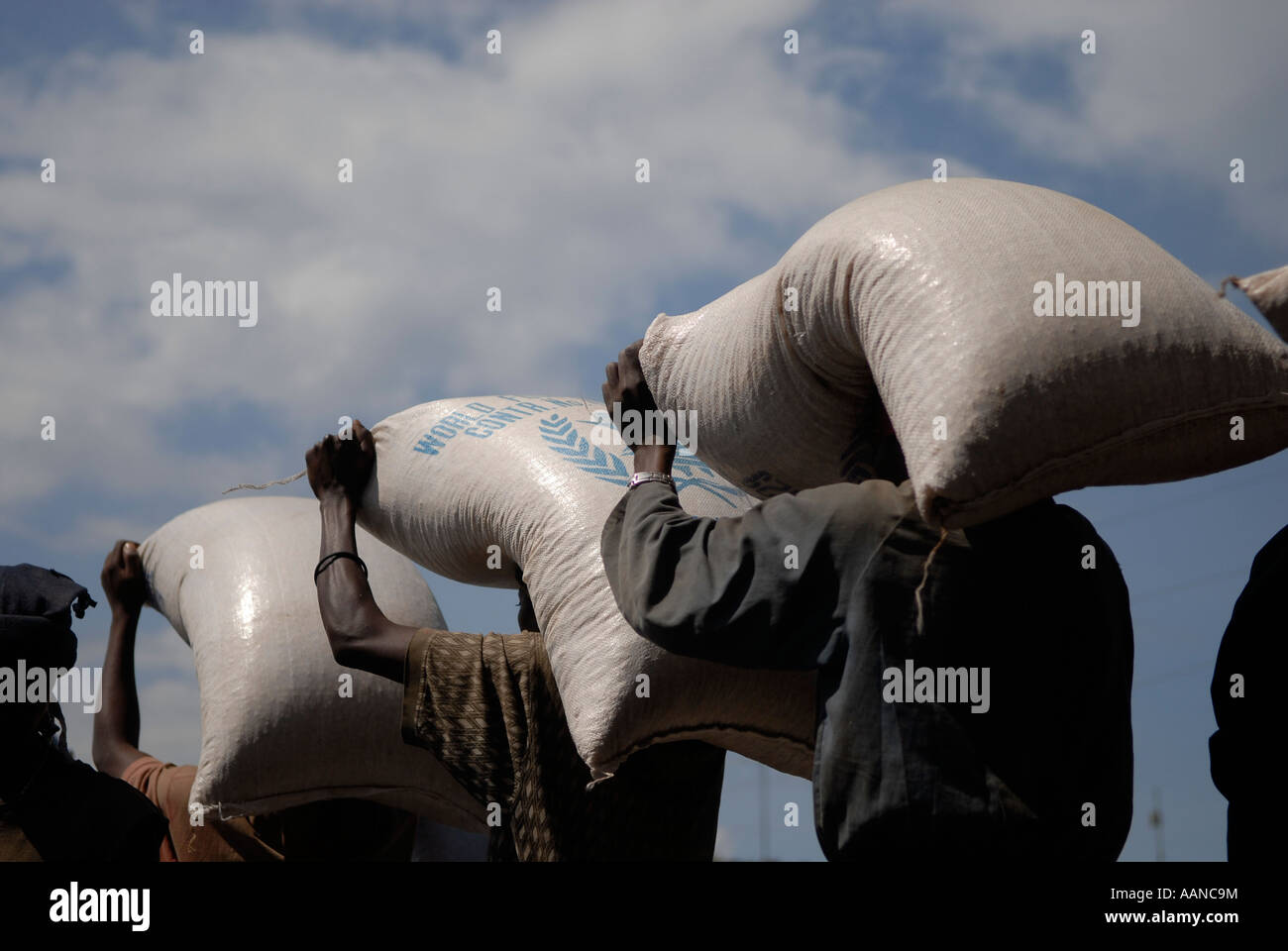 Sacks Maize In Un Wfp Stock Photos & Sacks Maize In Un Wfp Stock Images ...
