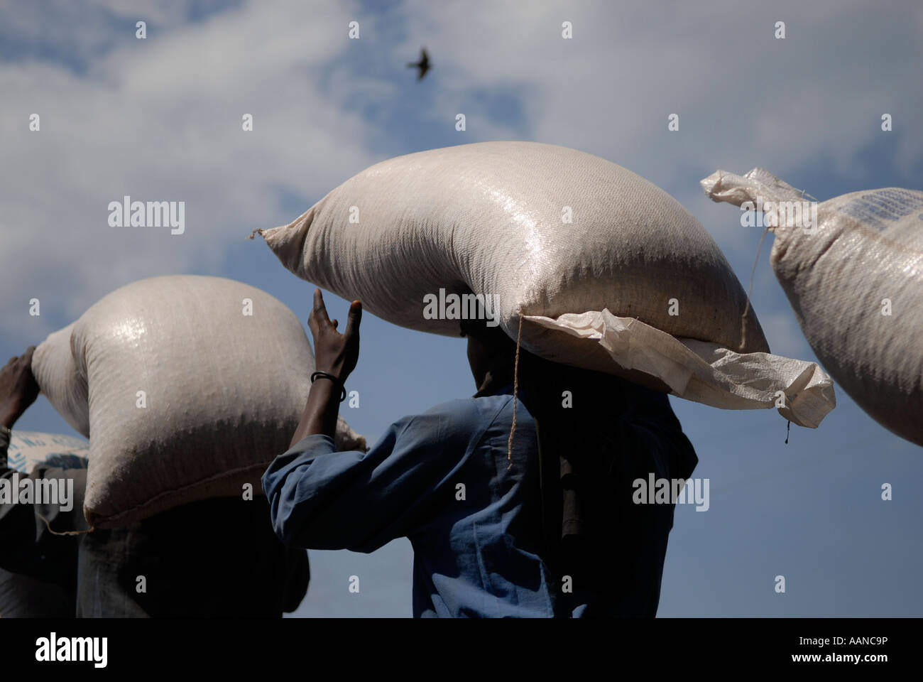 Men carrying large sacks of corn soya blend at a World Food Programme ...