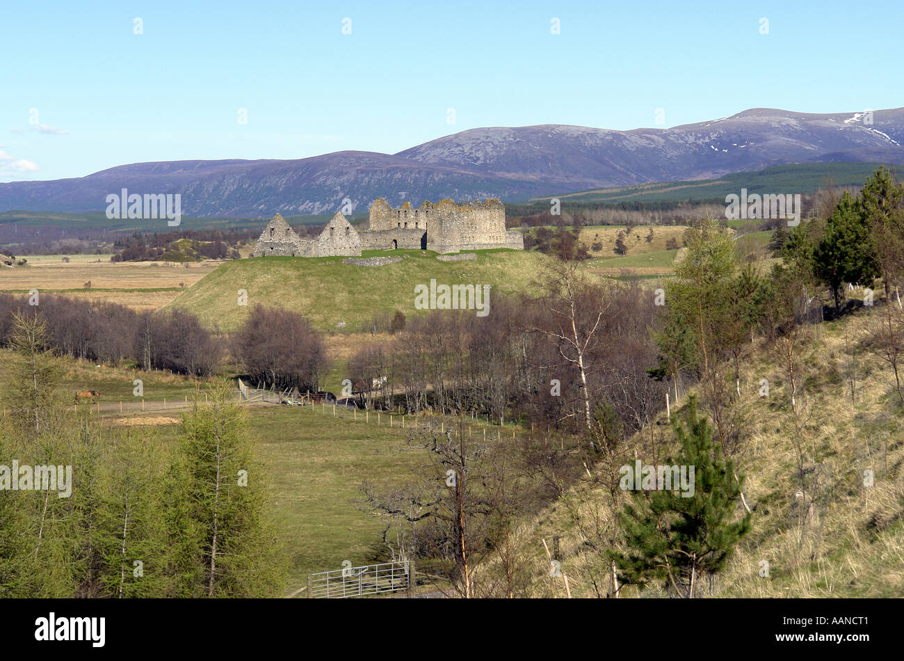 Kingussie scotland spring hi-res stock photography and images - Alamy