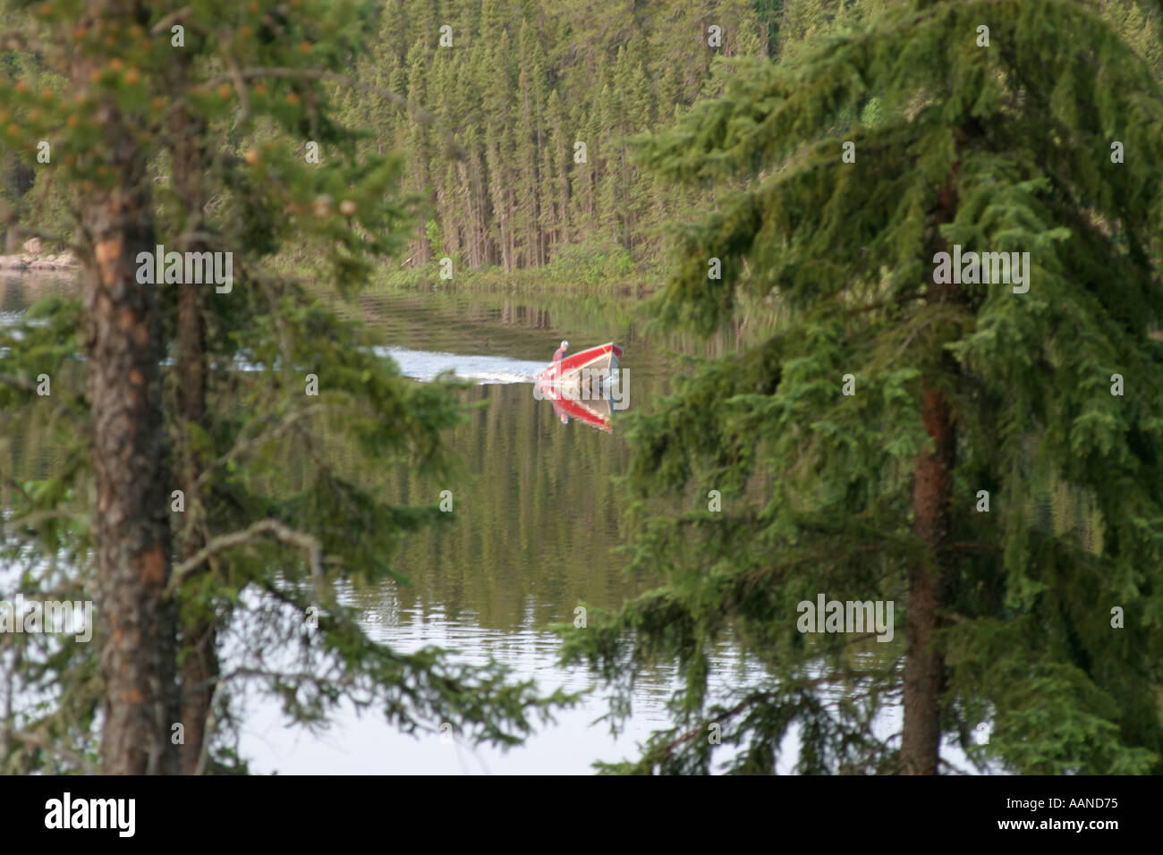 Lake Through Trees Stock Photo - Alamy