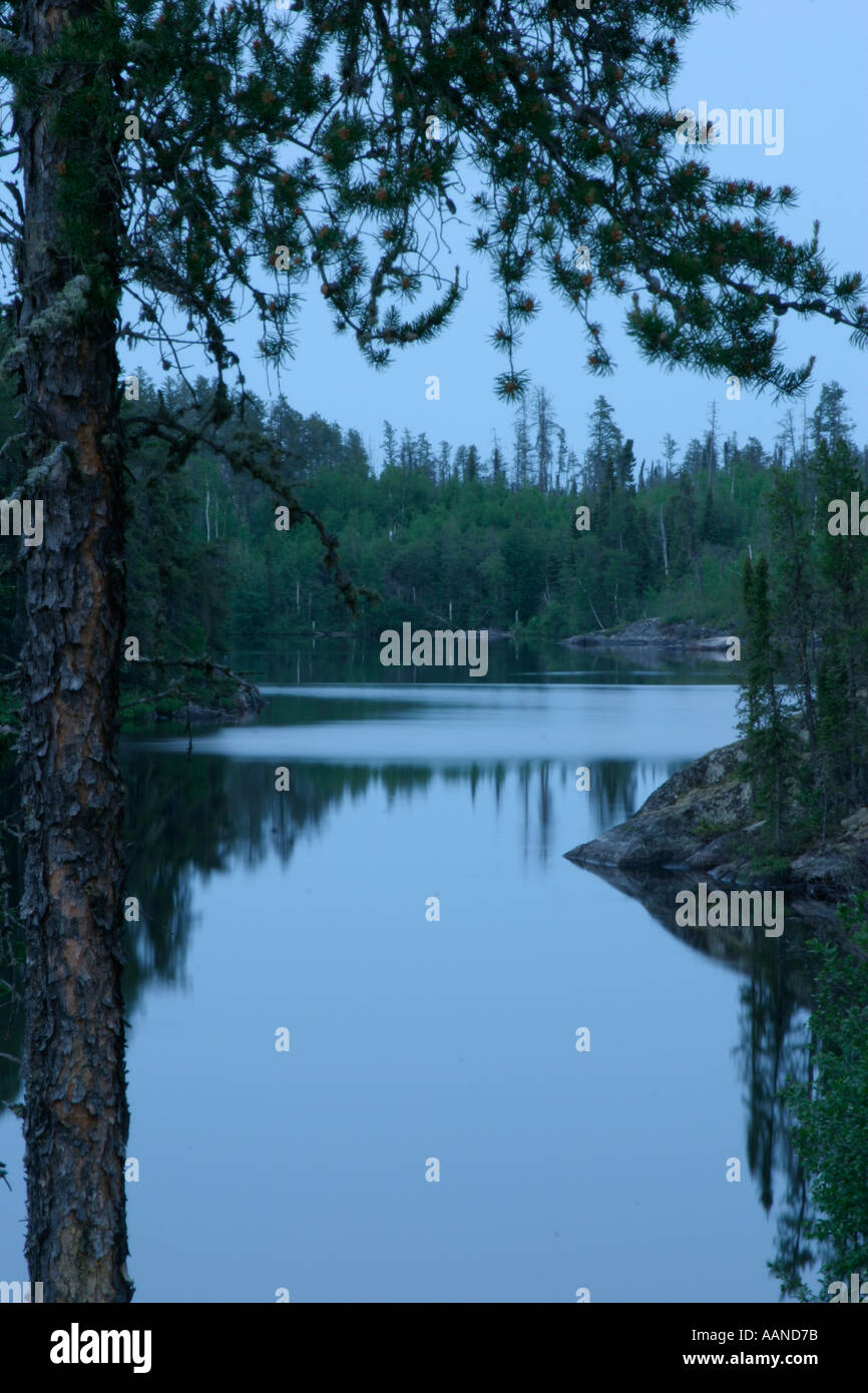 Lake through Trees at Night Stock Photo - Alamy