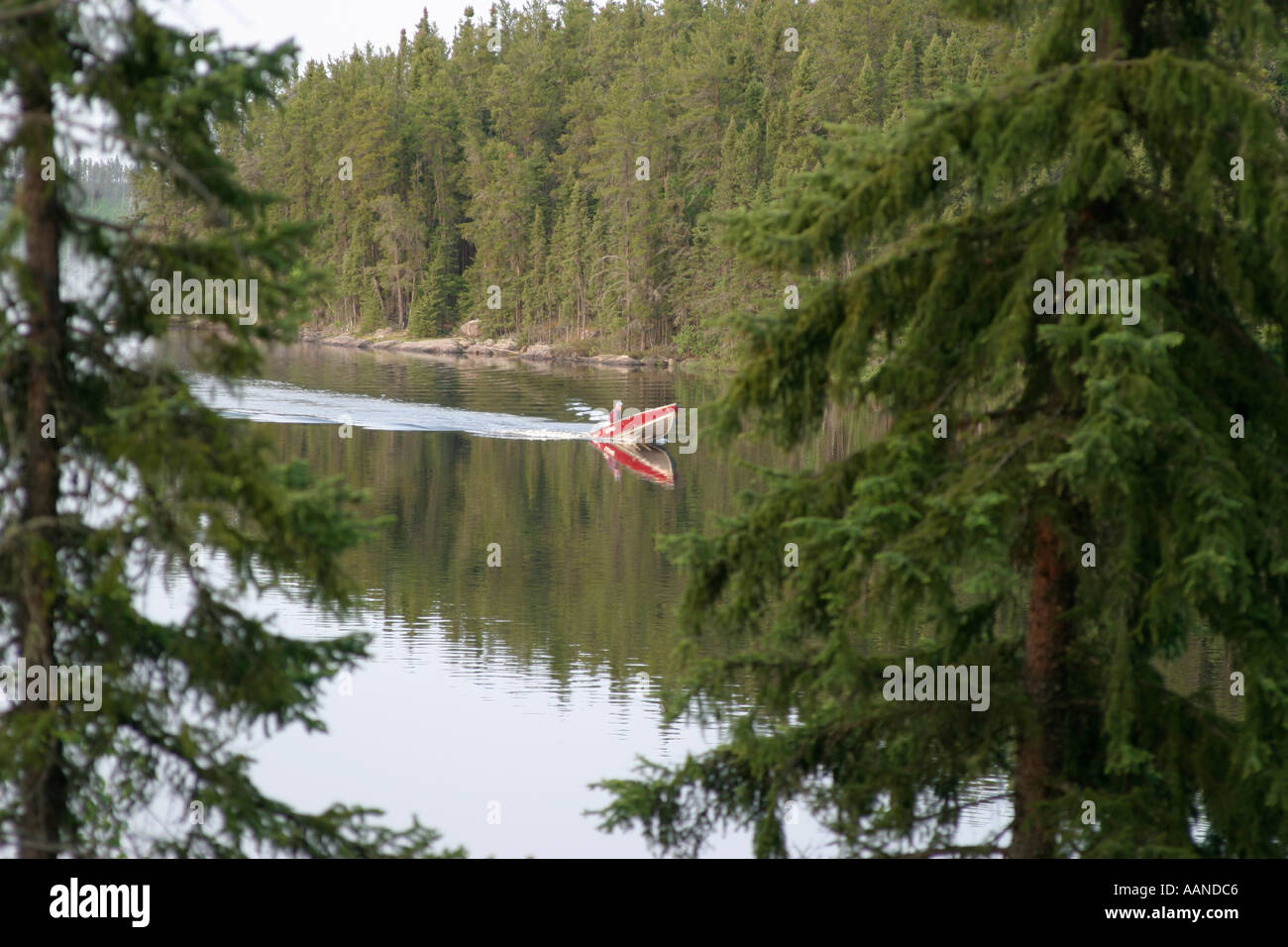 Lake Through Trees Stock Photo - Alamy