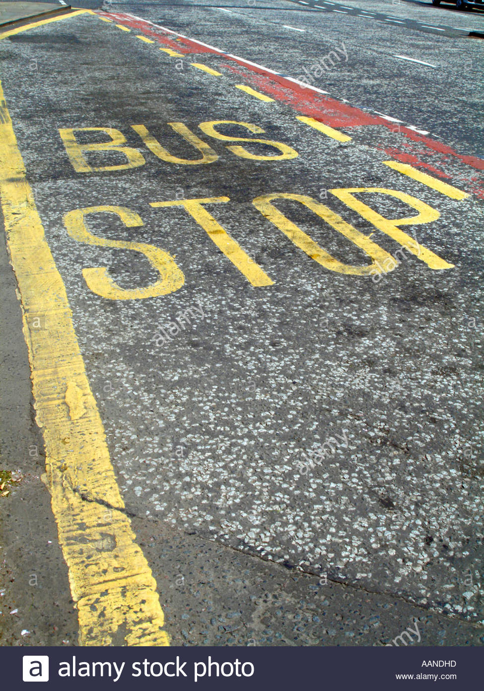 A bustop lane marking Stock Photo - Alamy