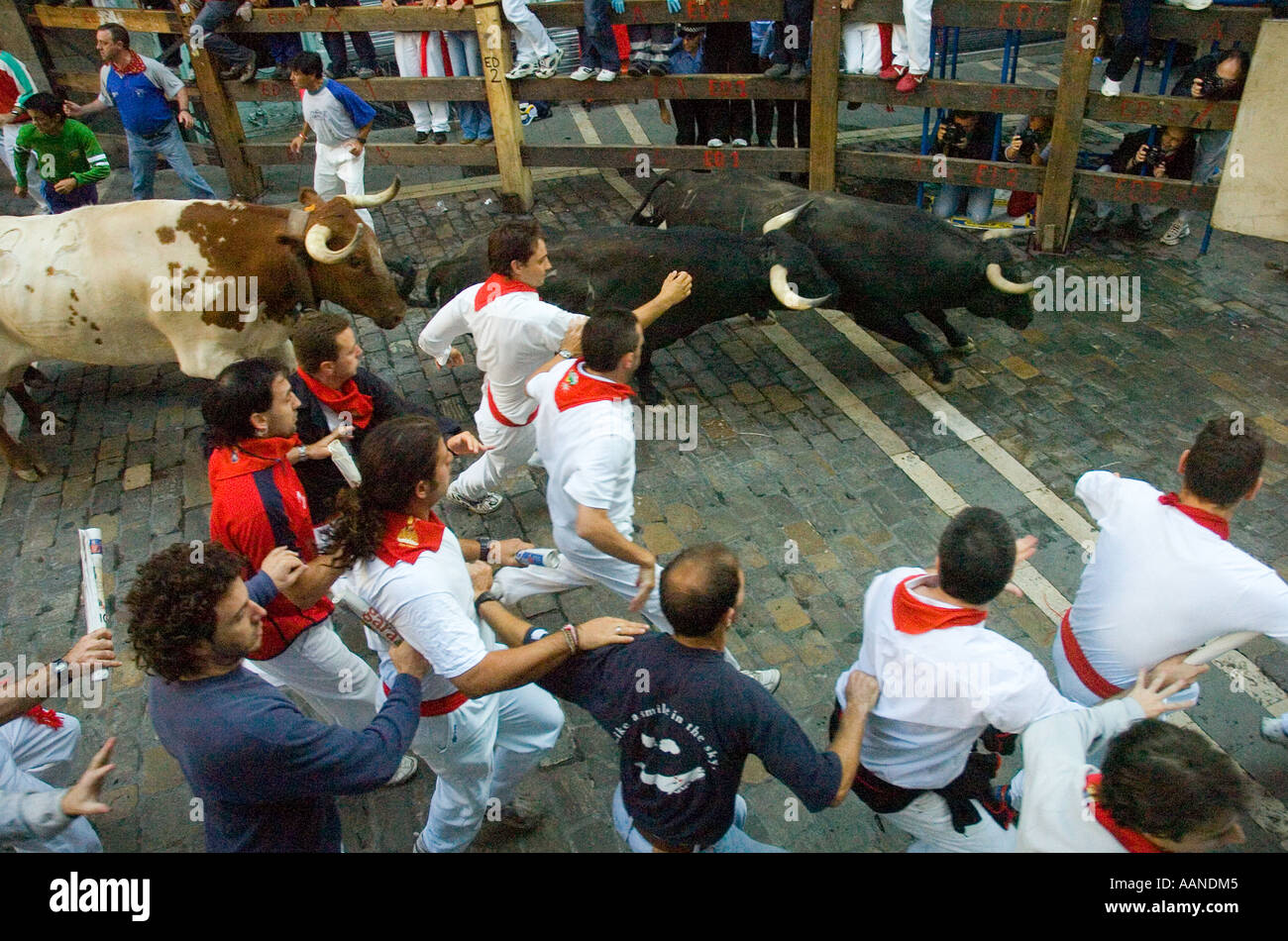 Fiesta de San Fermin, Pamplona, Navarra, Spain Stock Photo - Alamy