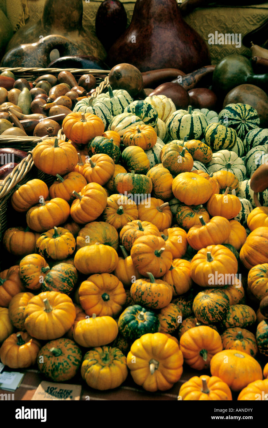 Coloquintes hi-res stock photography and images - Alamy