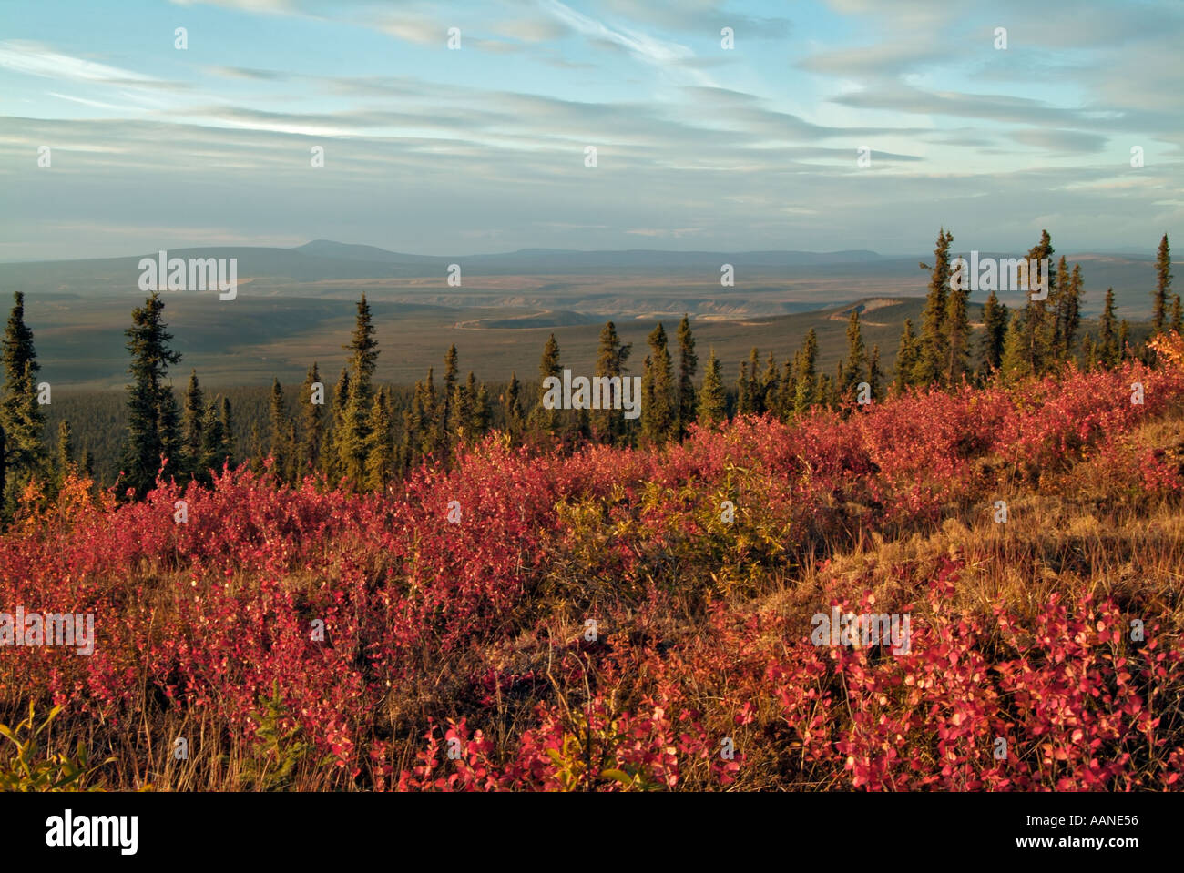 Eagle plains yukon territory canada hi-res stock photography and images ...