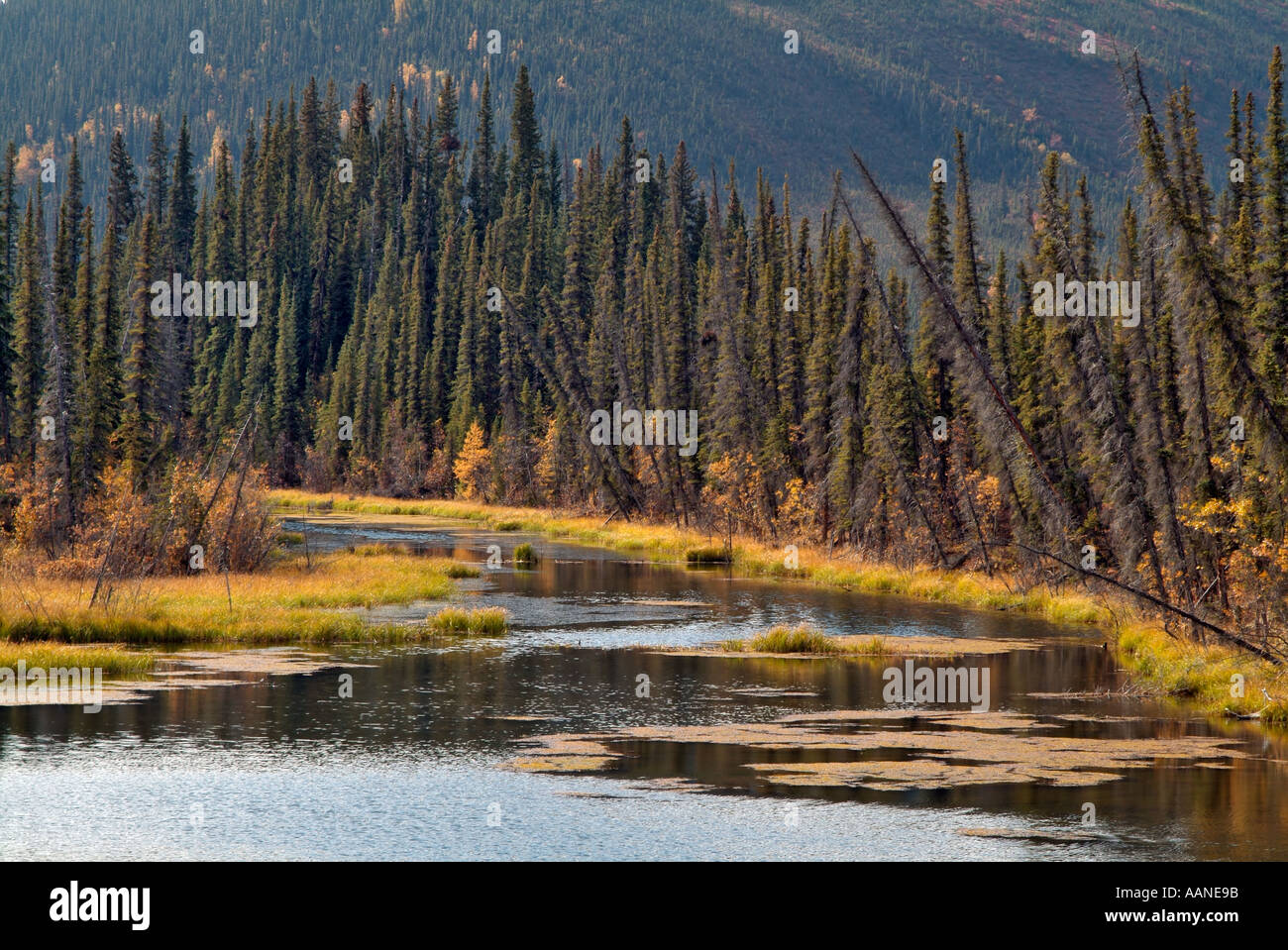 Lake near the Ogilvie River, Dempster Highway, Yukon, Canada Stock ...