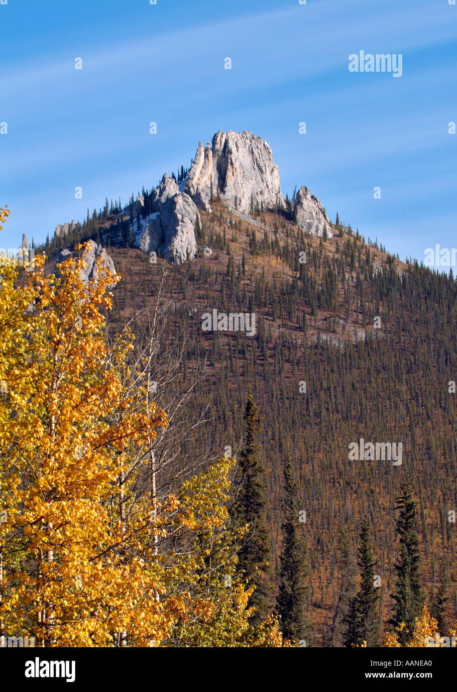 Canadian sapper hi-res stock photography and images - Alamy