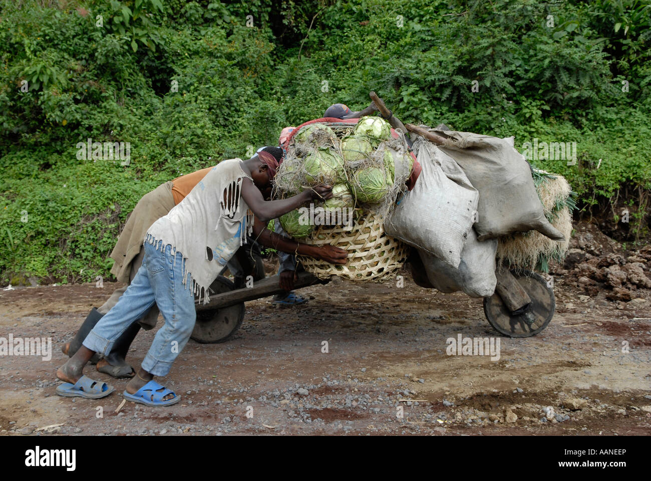 Villagers push "chukudu" two-wheeled handmade wooden vehicle loaded ...