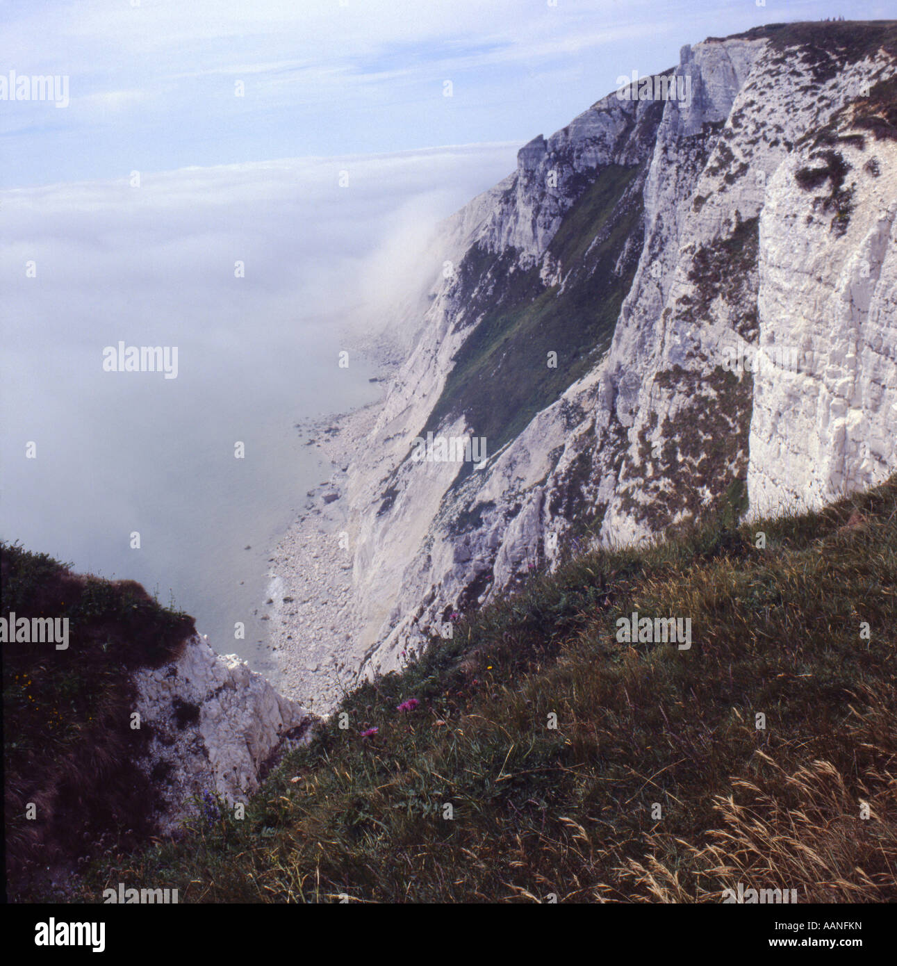 Fog on cliffs at Beachy Head in Sussex England UK Stock Photo - Alamy