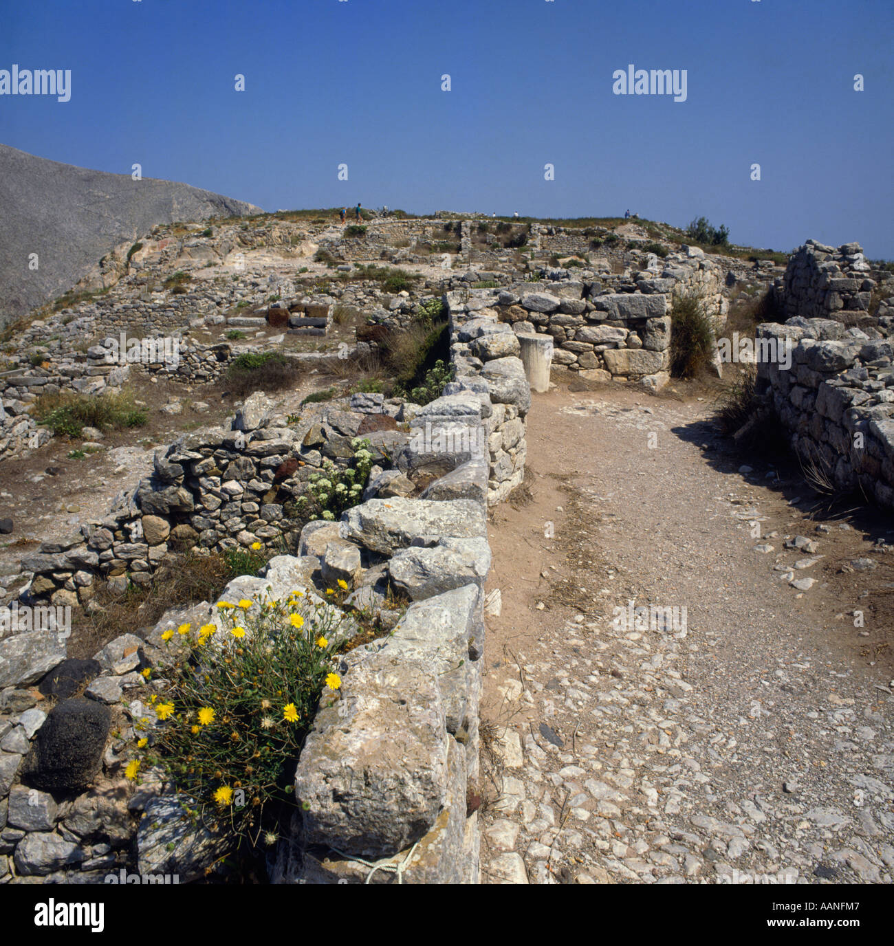 Exposed excavated ruins of Ancient Thira with stone walls yellow ...