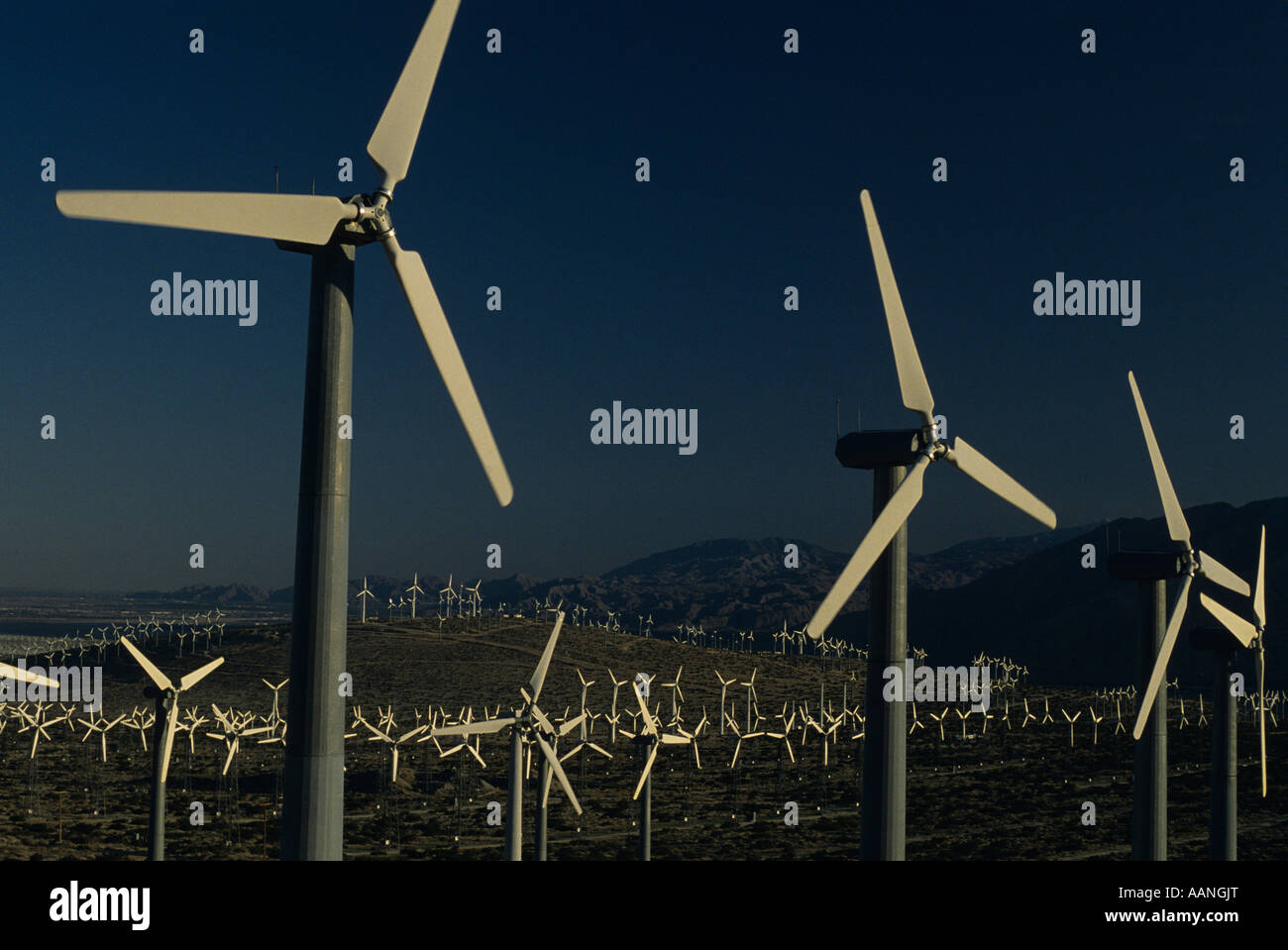 Windmill farm in the desert sunset light near Palm Springs California ...