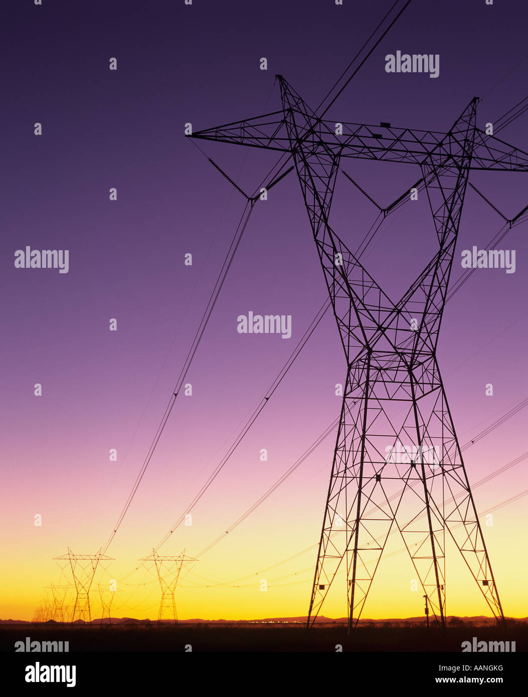 Rows of silhouetted power lines stretching off into the distance at ...