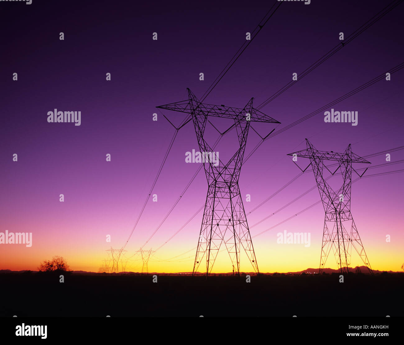 Rows of silhouetted powerlines stretching off into the distance at sunset Buckeye Arizona USA ...