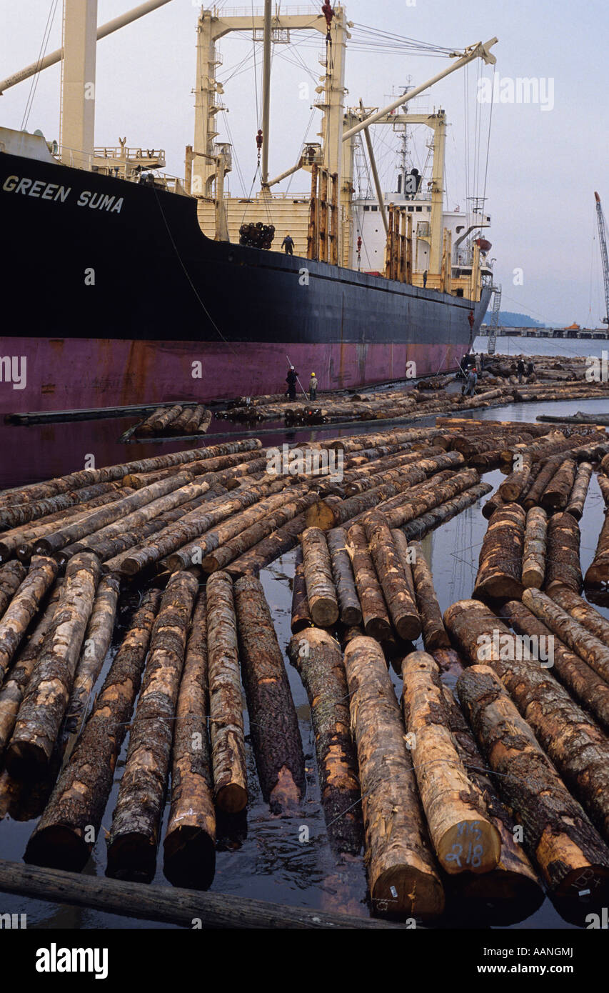 Cargo ship loading logs in hi-res stock photography and images - Alamy