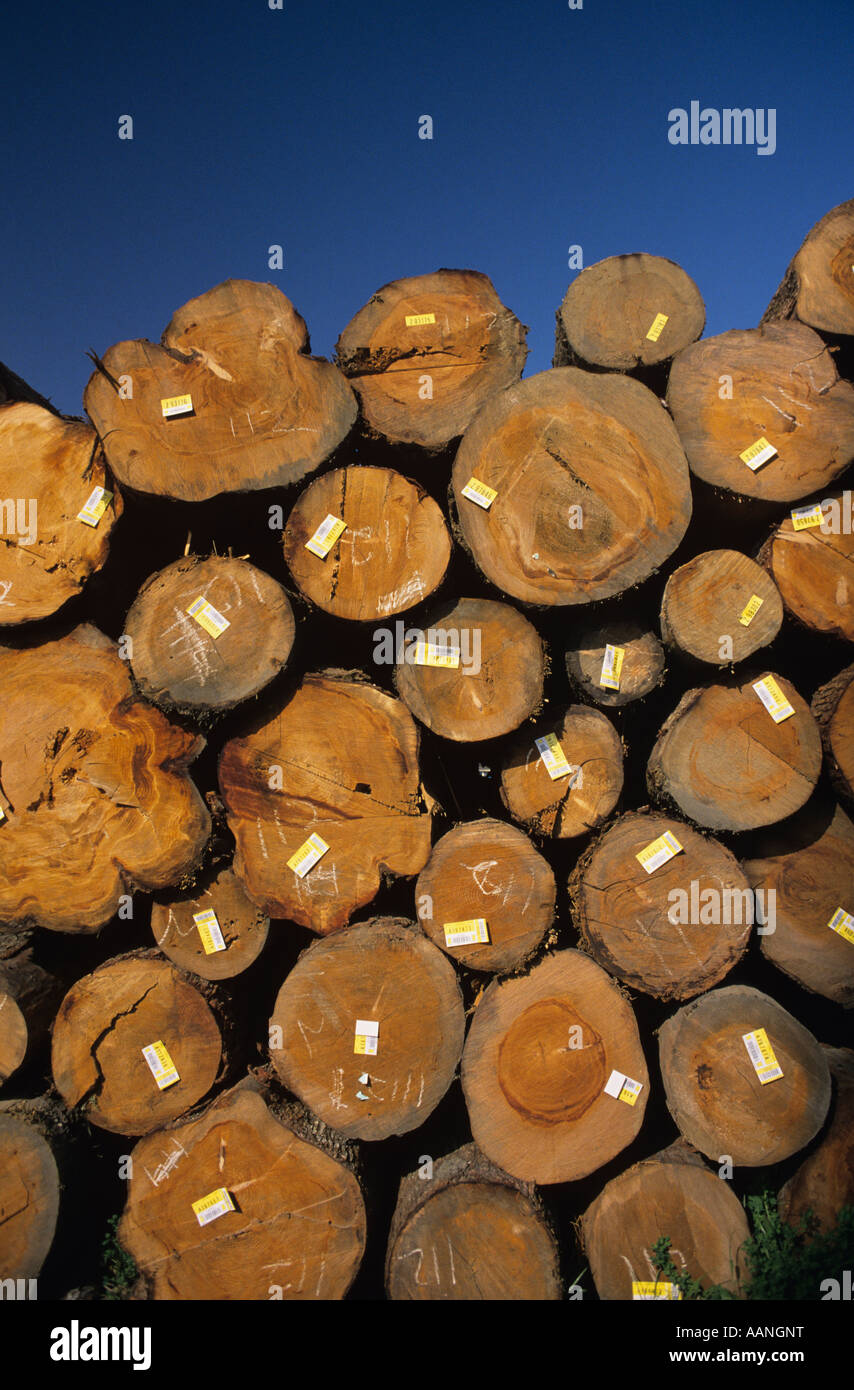 Cut lumber stacked at the Port of Astoria waiting to be loaded onto a ...