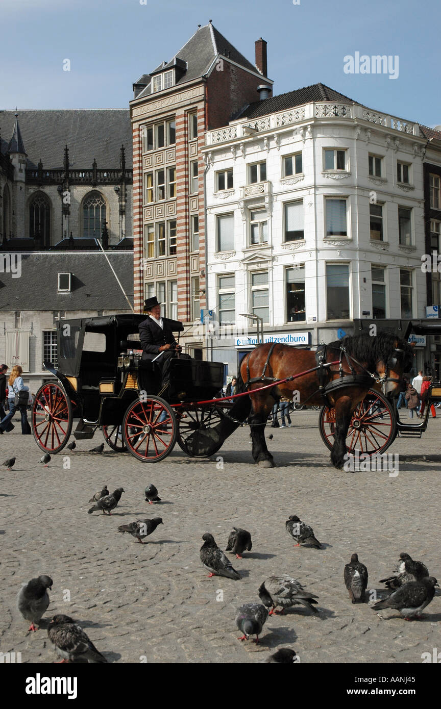 Horse carriage in dam square hi-res stock photography and images - Alamy