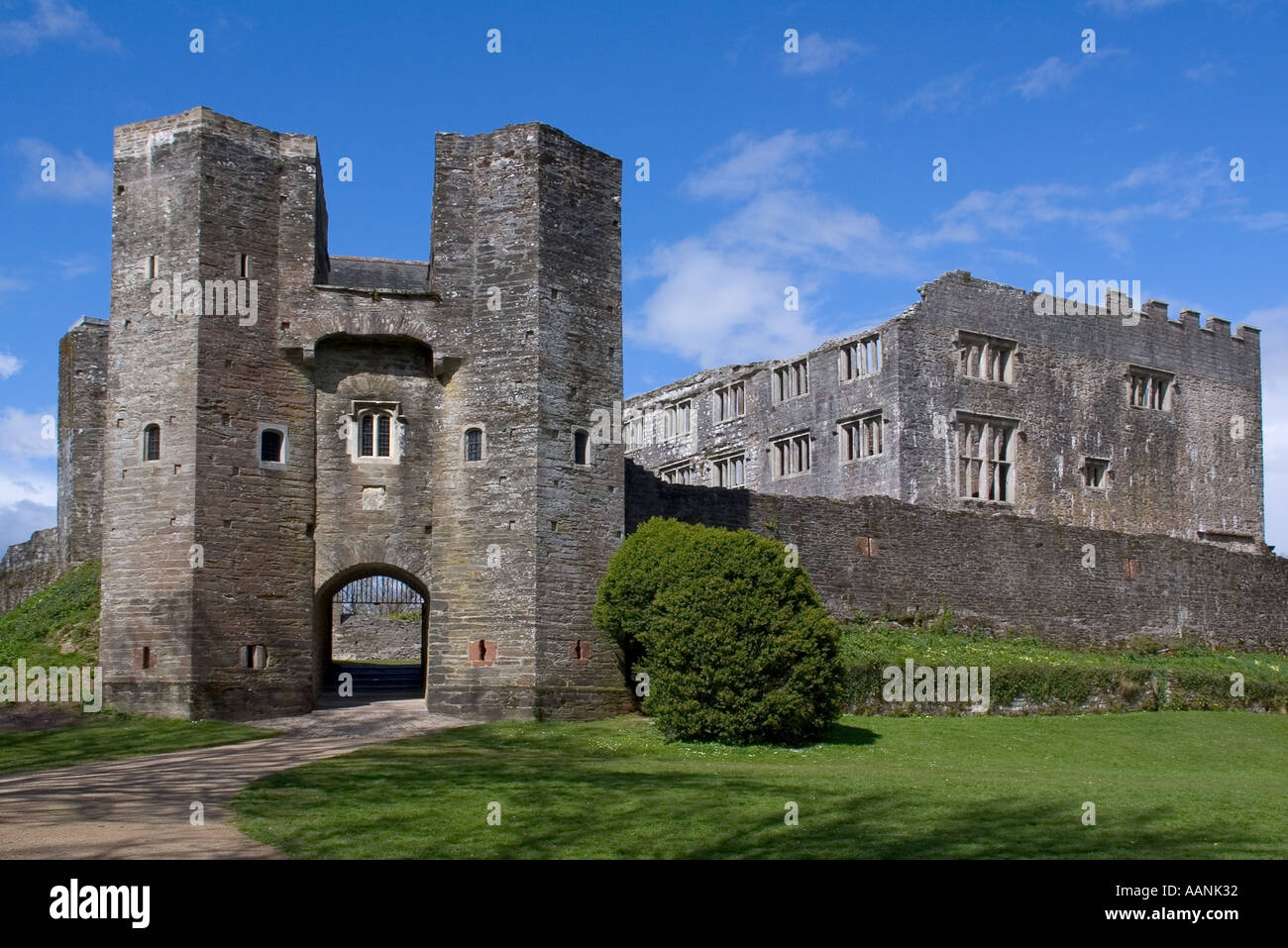 Berry pomeroy hi-res stock photography and images - Alamy