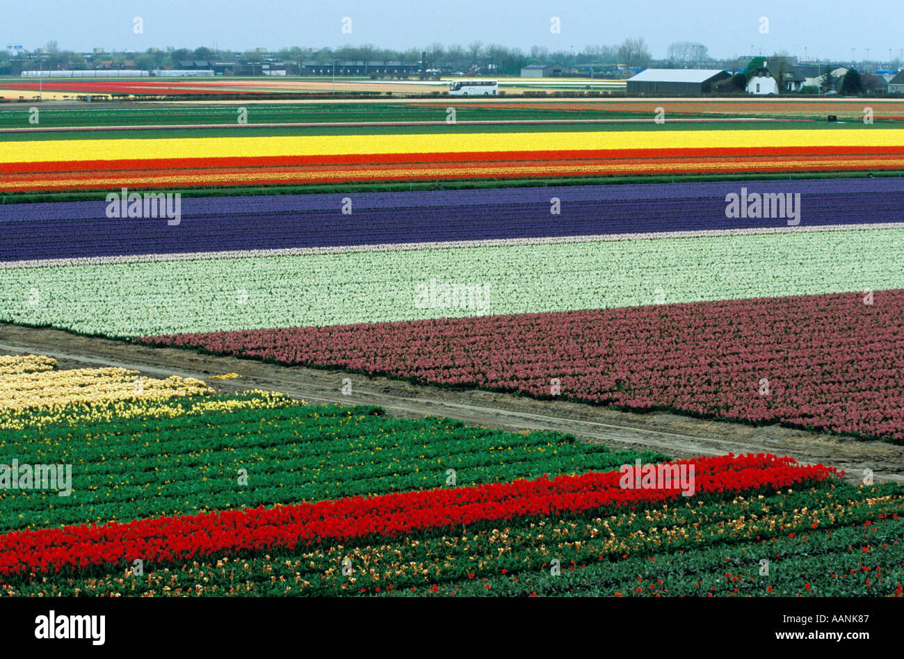 Keukenhof gardens aerial High Resolution Stock Photography and Images ...