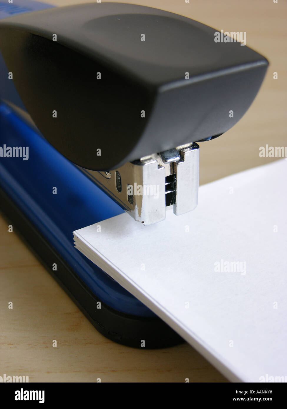 Stampler hi-res stock photography and images - Alamy