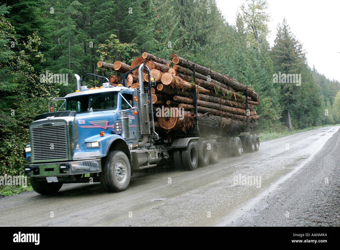 Truck full of logs hi-res stock photography and images - Alamy