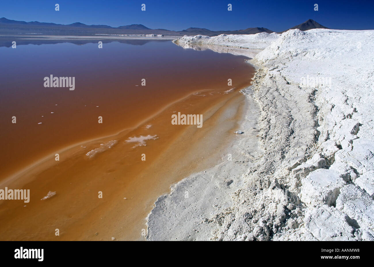 Borax and red algae at Laguna Colorada, National Park Eduardo Avaroa ...