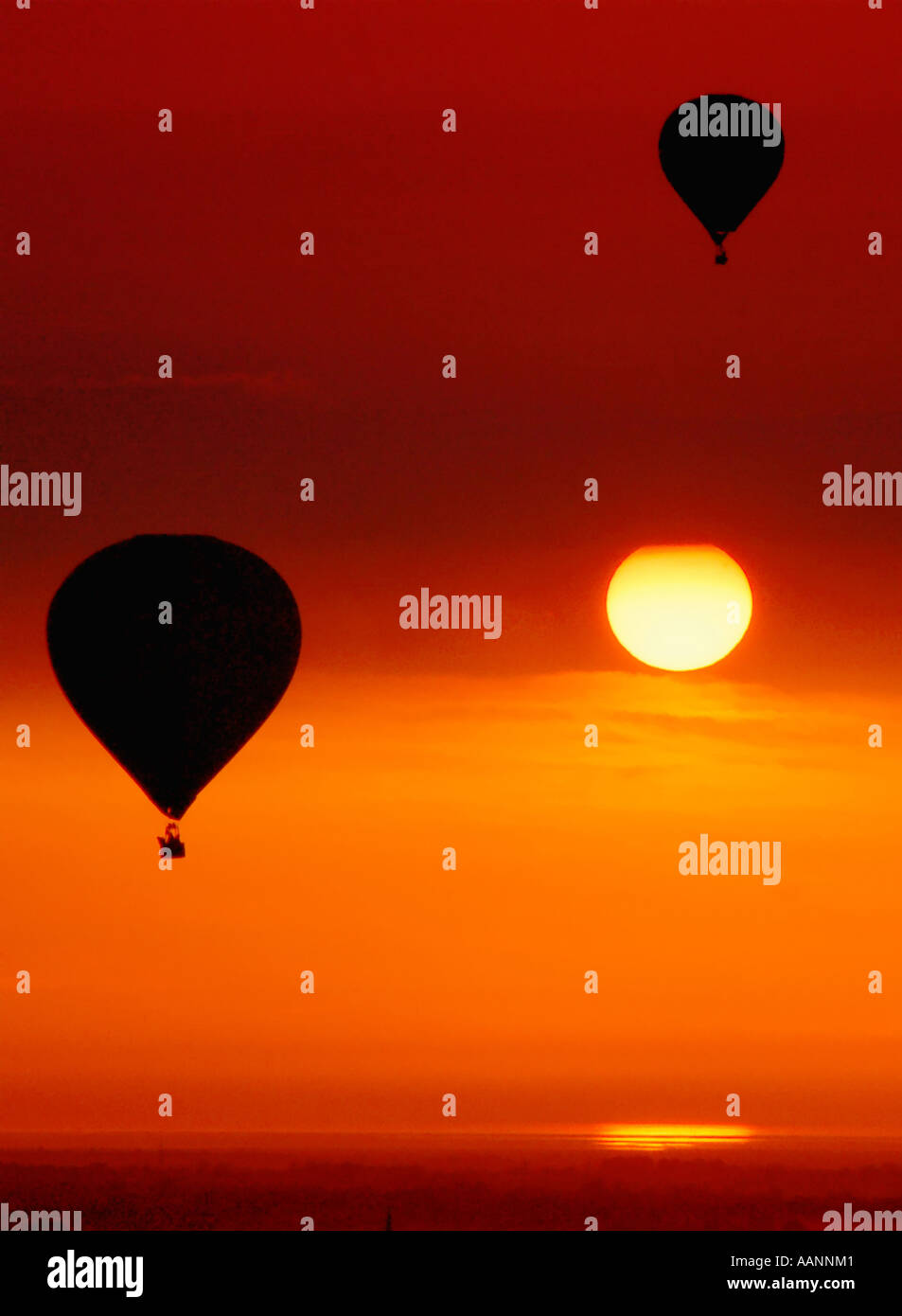 Balloons in the Sun Stock Photo - Alamy