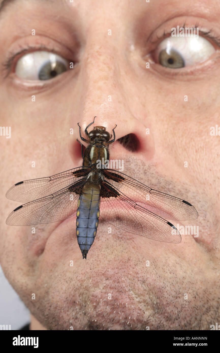 Cross eyed animals hi-res stock photography and images - Alamy