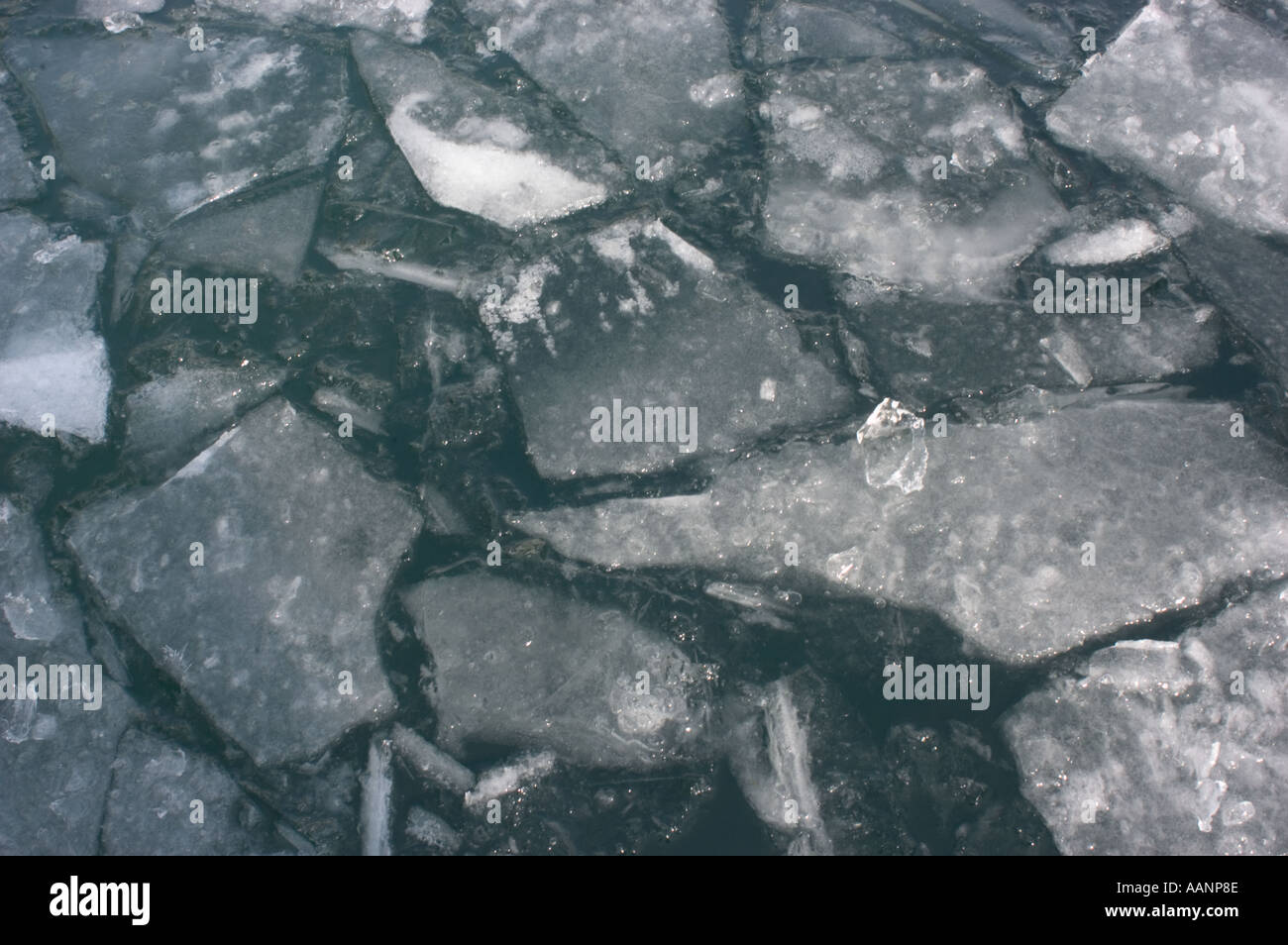 Fractured ice patterns on the St Lawrence river Canada Stock Photo - Alamy
