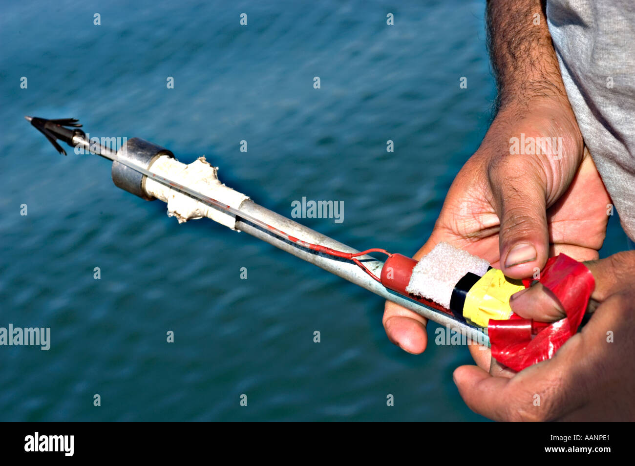 Ryan Johnson marine biologist and shark scientist prepares a tag for ...