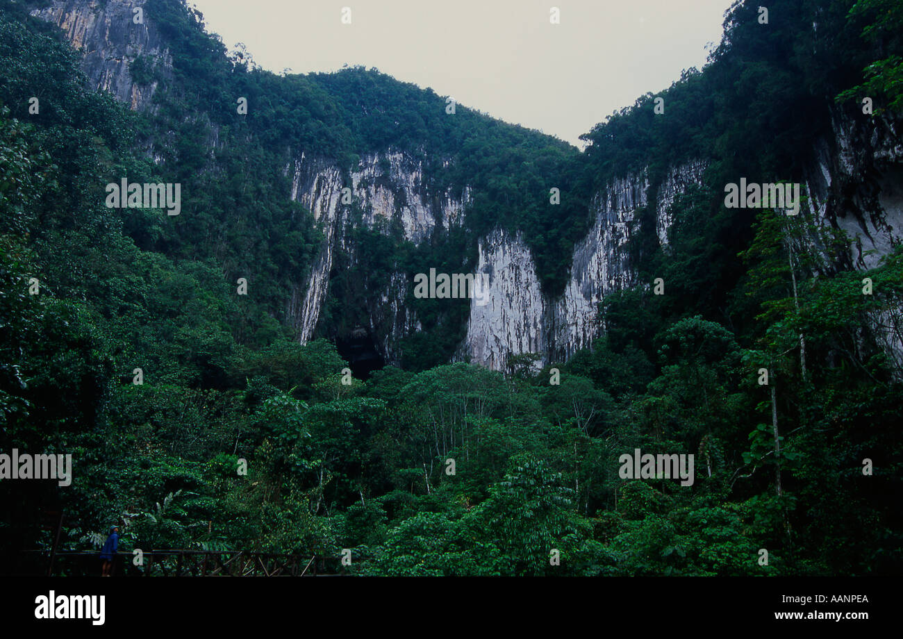 Deer Cave Sarawak Borneo Home to over 12 million bats Cave entrance in ...