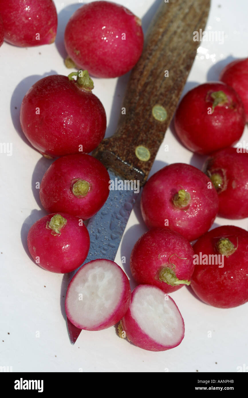 Half plate hi-res stock photography and images - Alamy