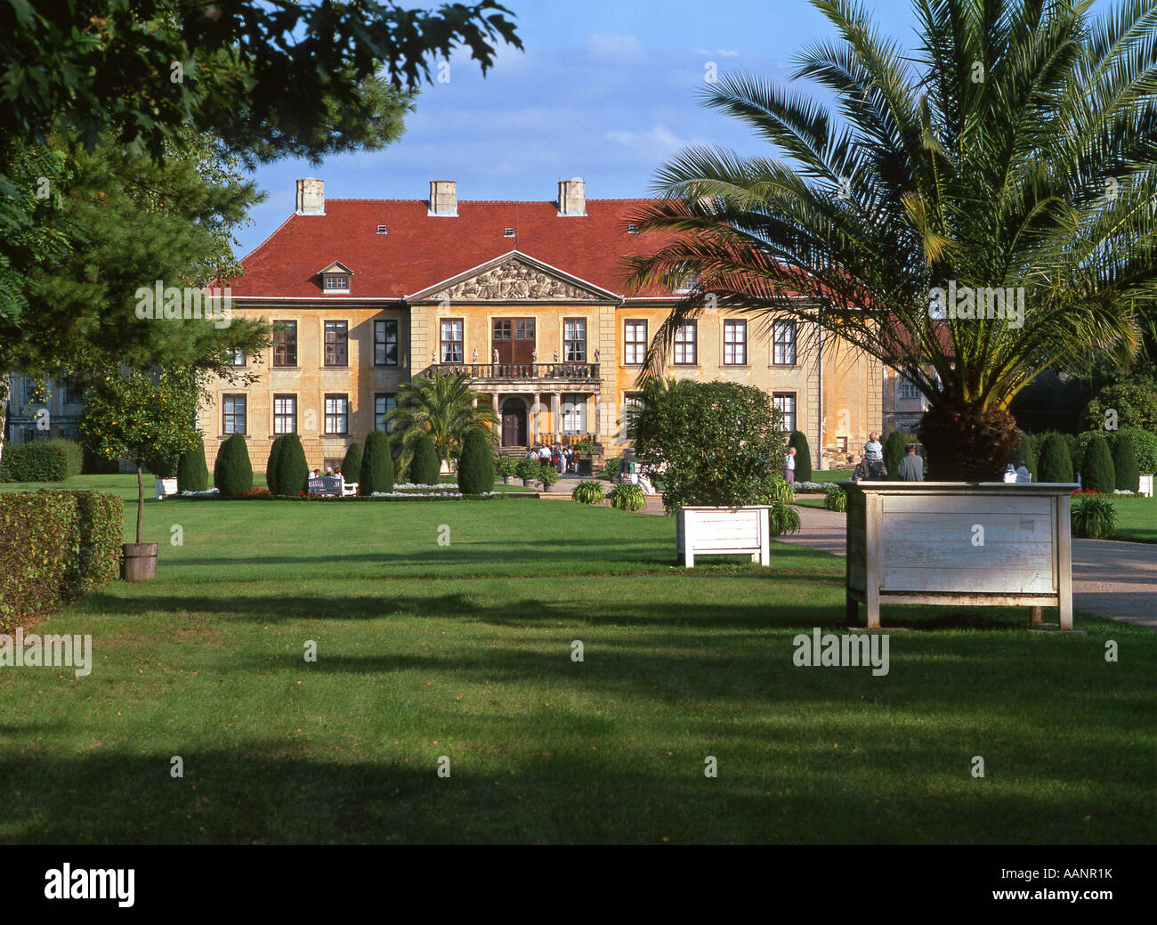 Canary island date palm (Phoenix canariensis), Oranienbaum Castle ...