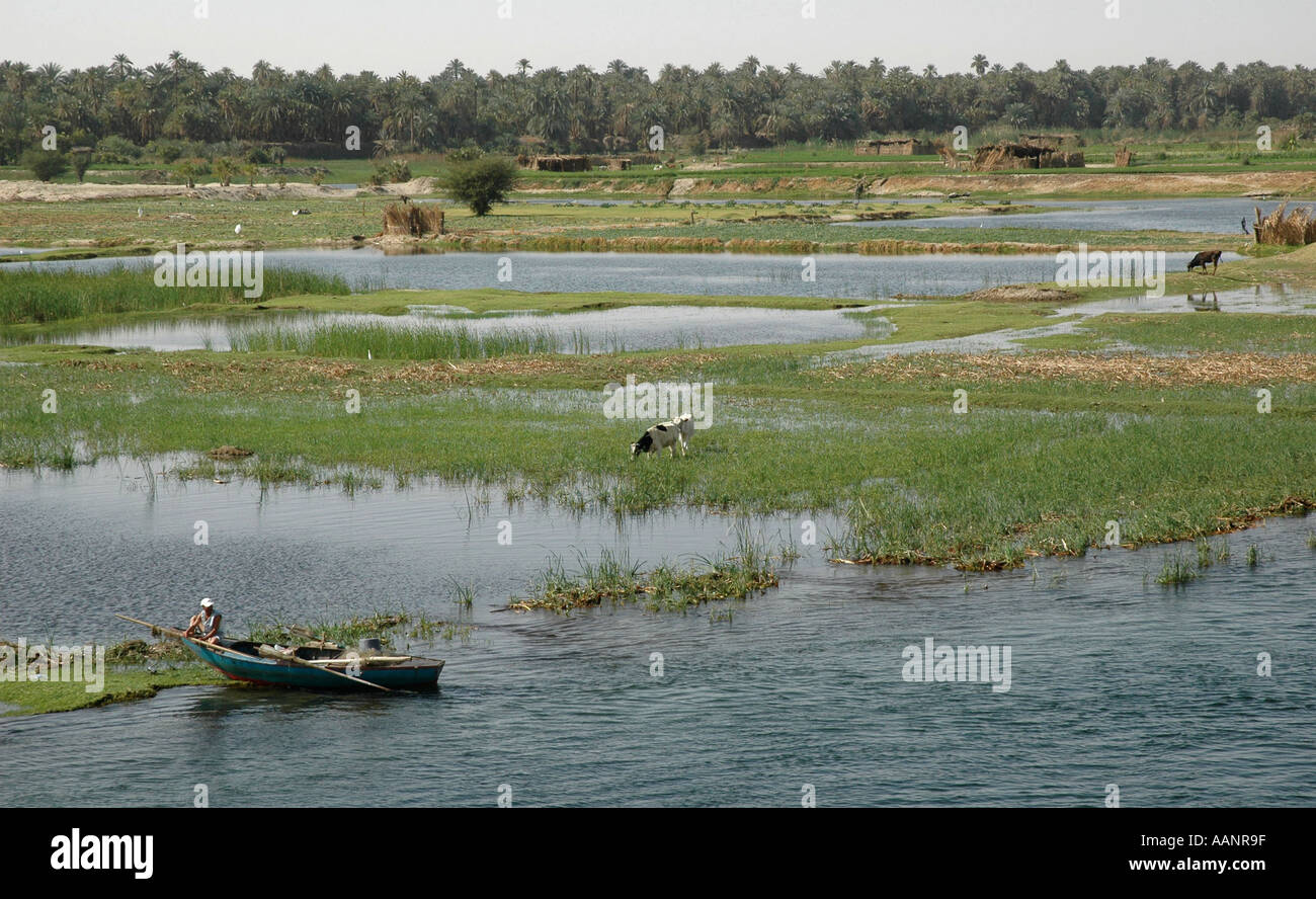 Nile Flood High Resolution Stock Photography and Images - Alamy