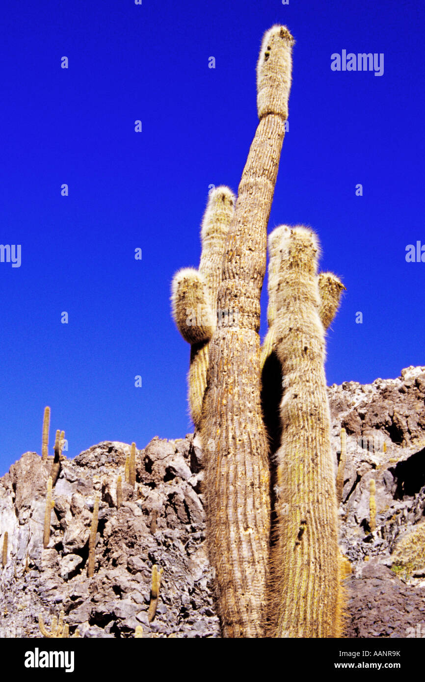 Rock column in desert landscape hi-res stock photography and images - Alamy