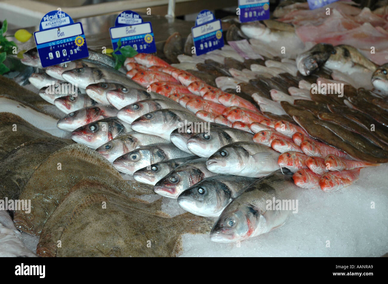 Fresh fish on French fishmongers slab Stock Photo - Alamy