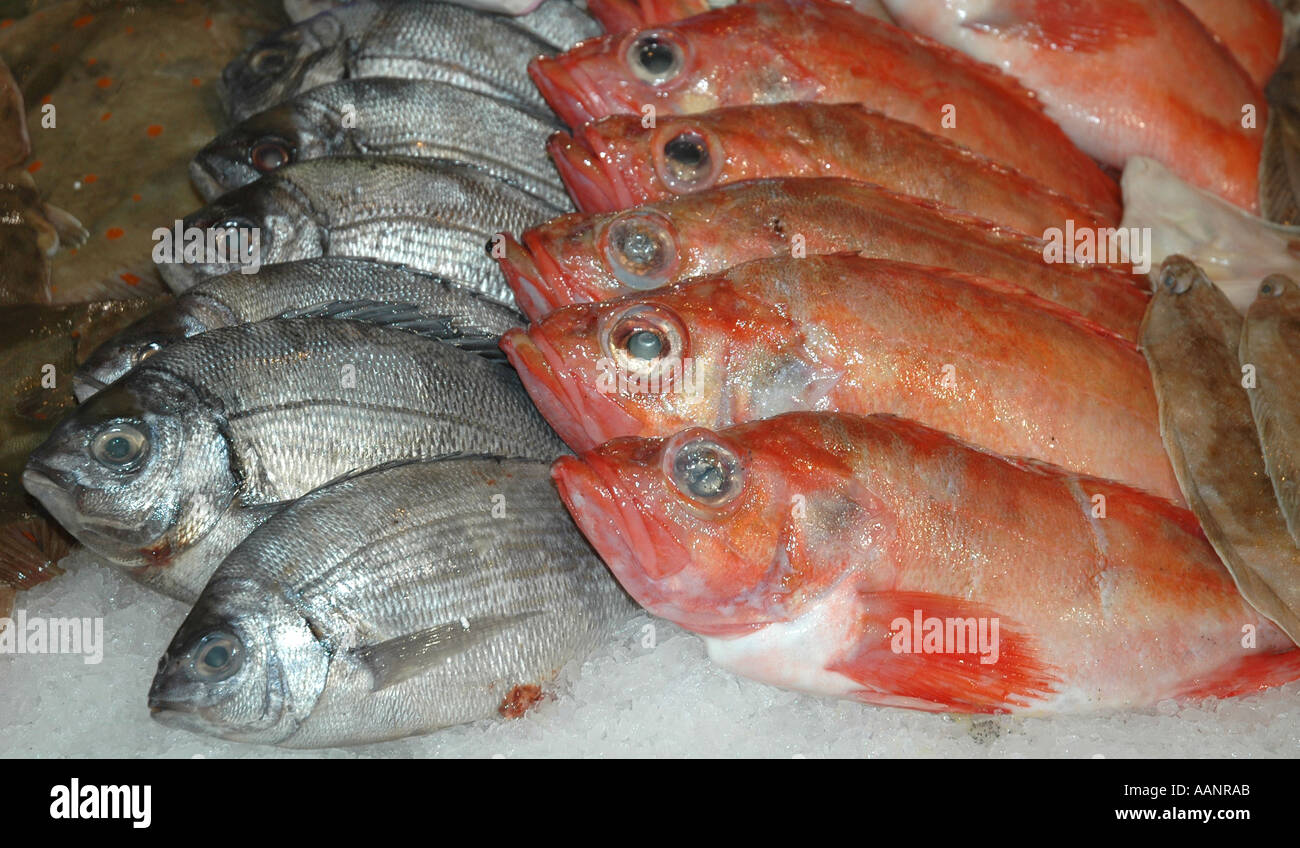 French fishmongers hi-res stock photography and images - Alamy