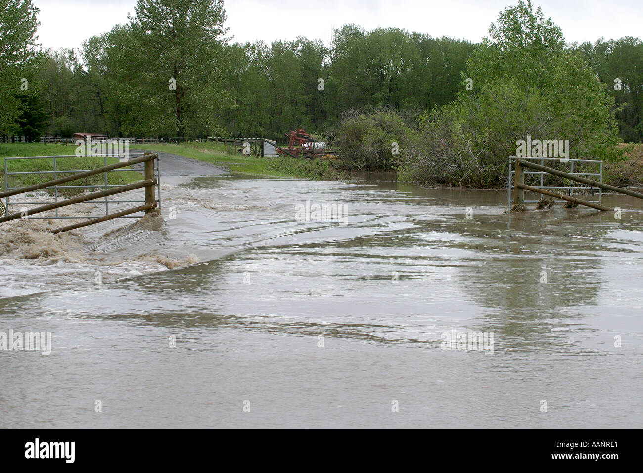 Flood 2005 Southern Alberta Canada Stock Photo - Alamy