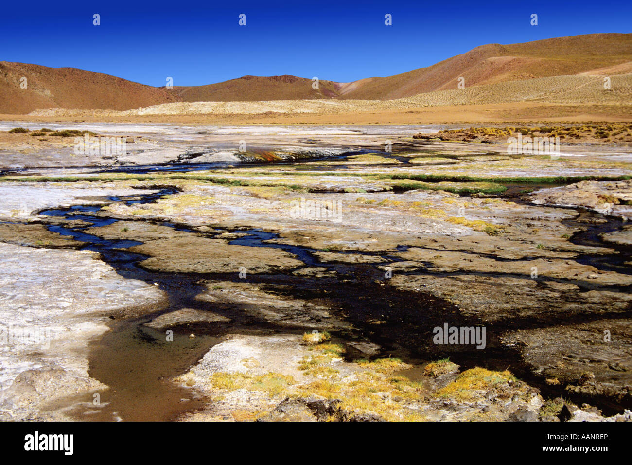 sulphuric springs, Chile, Andes, Atacama Desert Stock Photo - Alamy