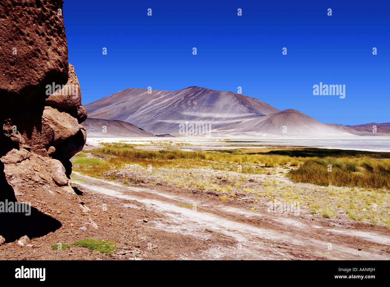 desert landscape, Chile, Andes, Atacama Desert Stock Photo - Alamy