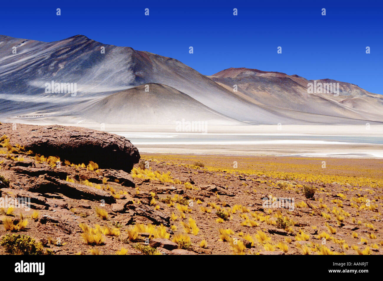 desert landscape, Chile, Andes, Atacama Desert Stock Photo - Alamy